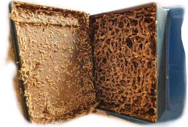Exterminex™ Termite Bait Australia