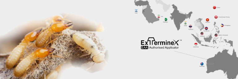 Exterminex™ Termite Bait Australia