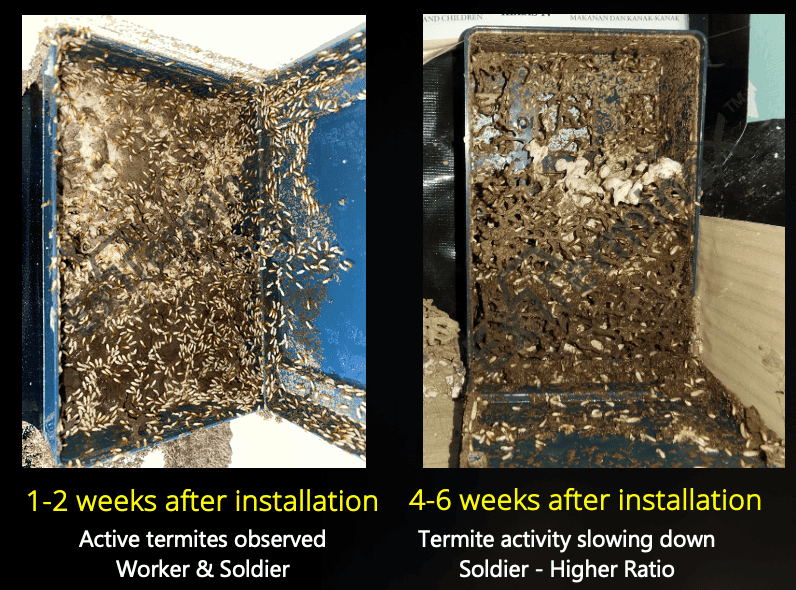 Installers Info | Exterminex™