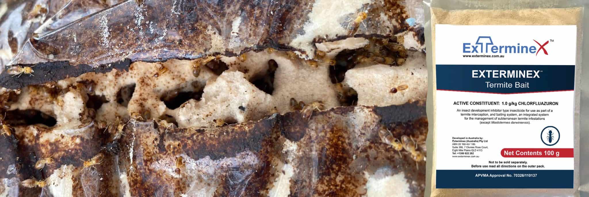 Termite Baiting Fundamentals | Exterminex™